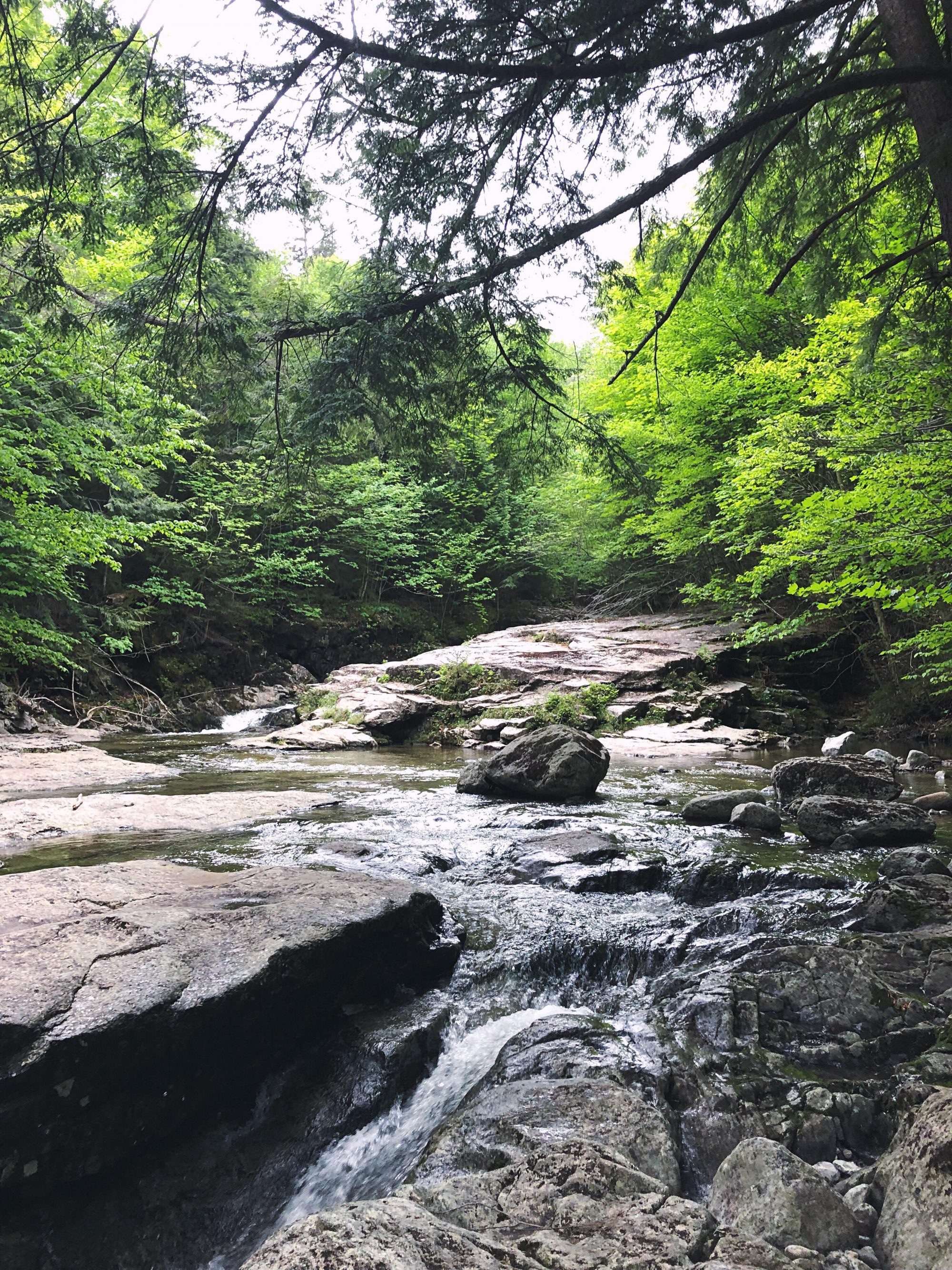 Grande randonnée pour débutants | Indian Head | Blogue de Rando Québec