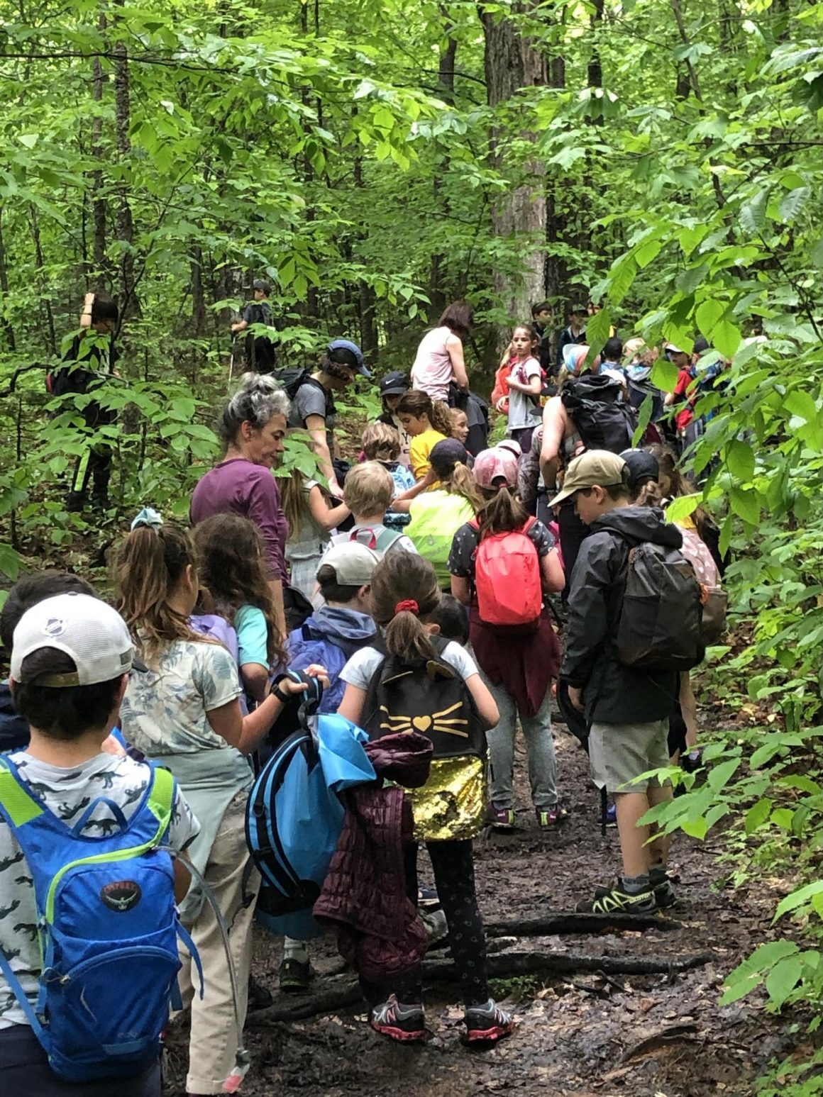 Une année mémorable en randonnées! | Blogue de Rando Québec