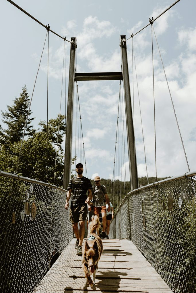 Les coopératives et les organismes de plein air sans but lucratif ...